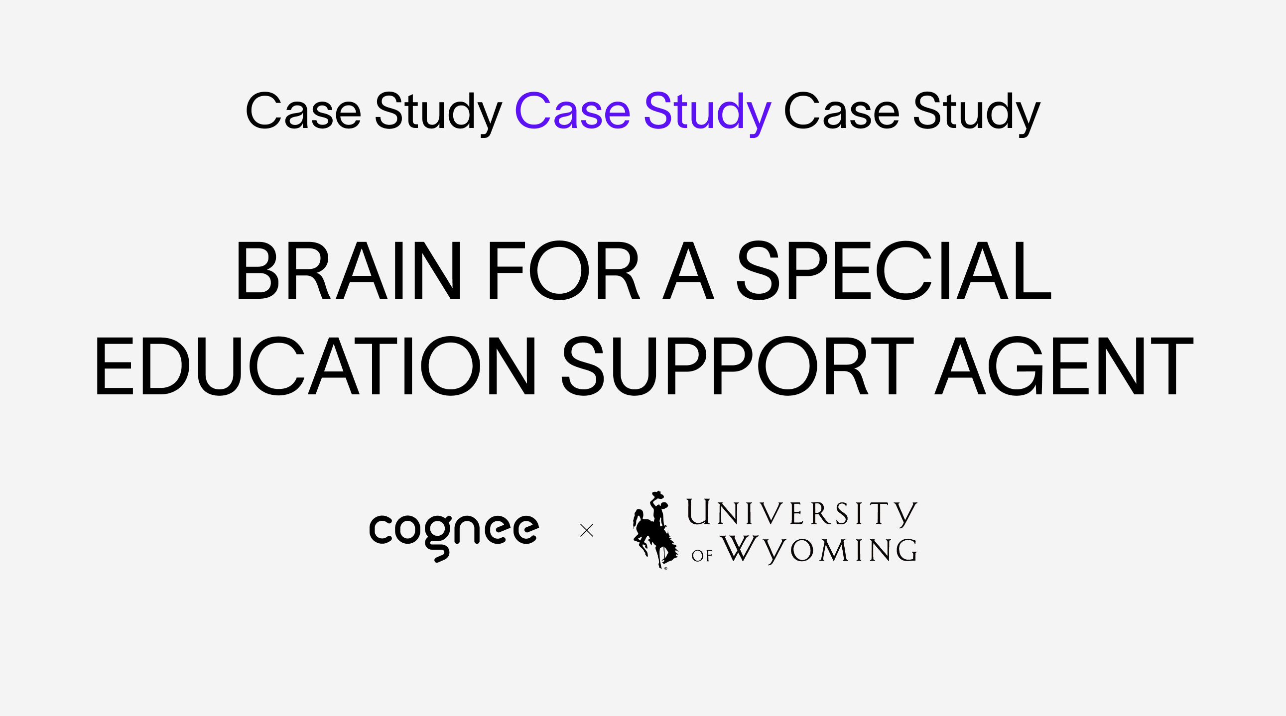 Cognee - Knowledge Graph to Answer With Evidence: AI Memory Case Study