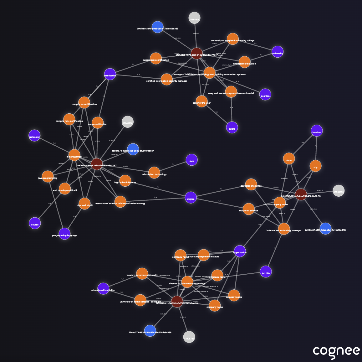 Cognee - Knowledge Graphs: Understand Misconceptions for Smarter Insights