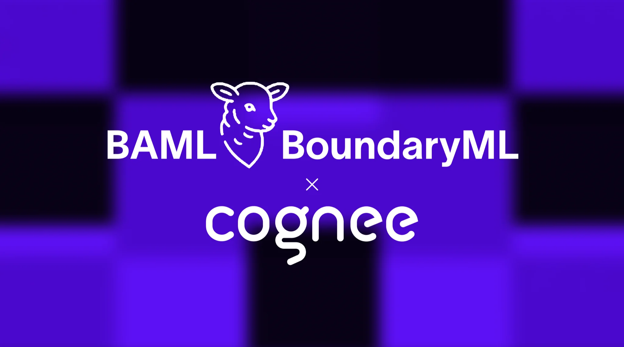 Cognee - BAML x cognee: Structured Output & AI Memory in Production